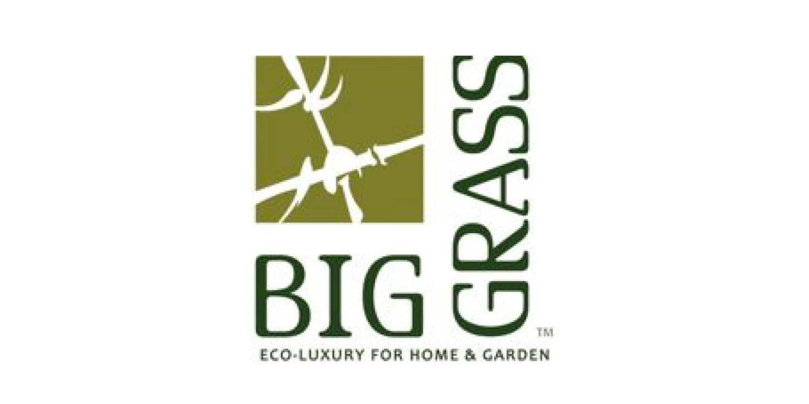 Big Grass San Antonio Food Bank